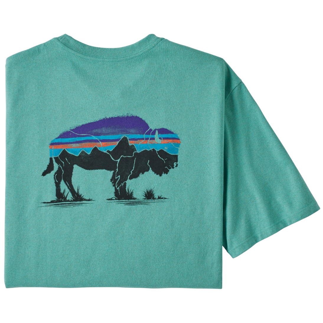 Polera Hombre Fitz Roy Bison Responsibili-Tee - Límite Sur